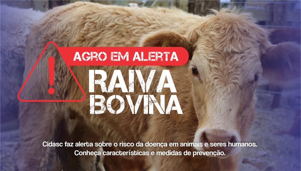 Doença da Raiva: Conheça características e medidas de prevenção ...