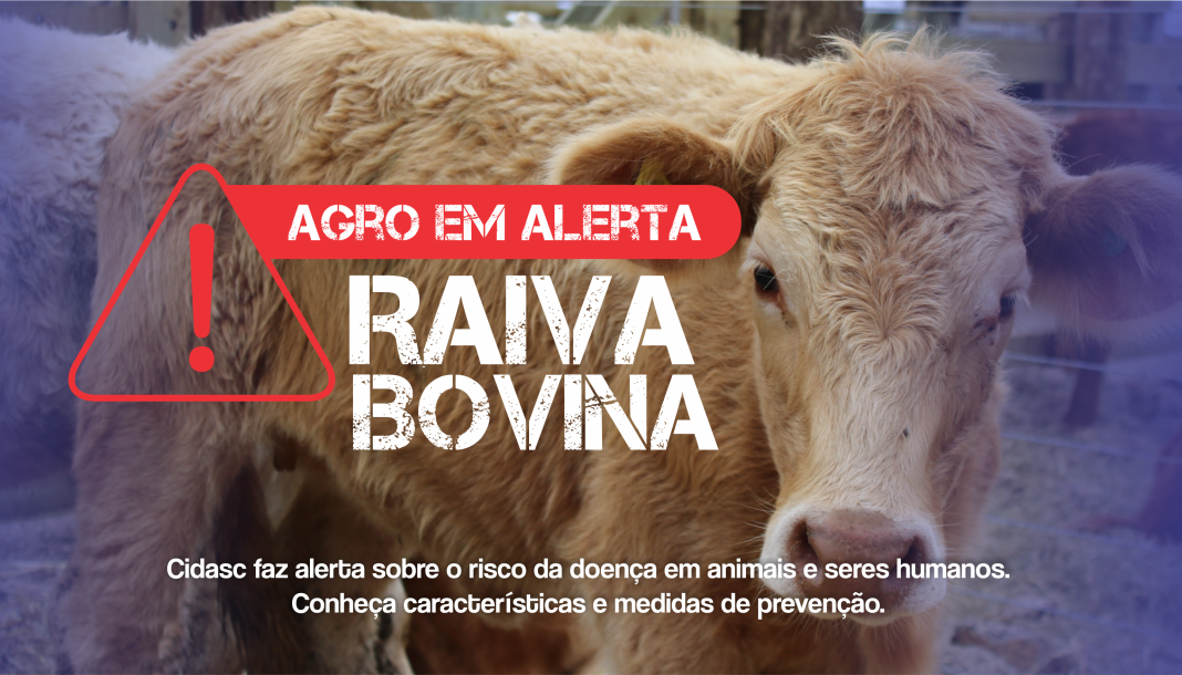 Doença da Raiva: Conheça características e medidas de prevenção ...